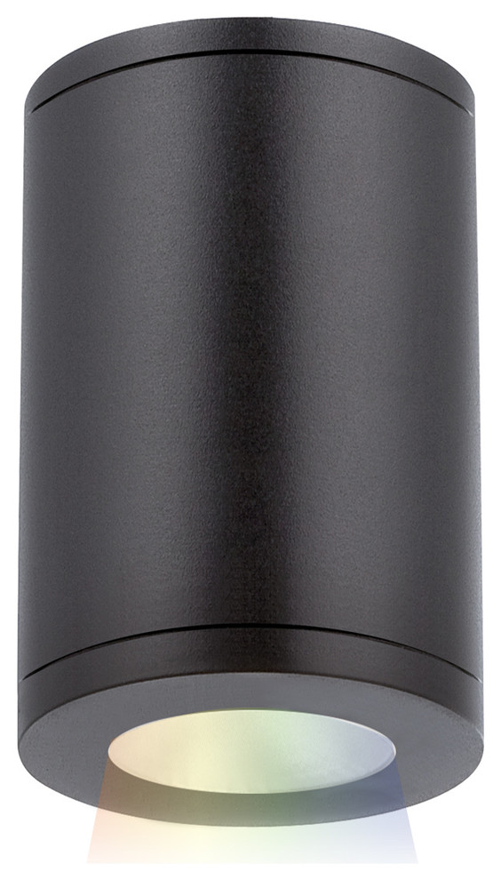 Tube Architectural 5" LED Color Changing Flush Mount Spot Beam, Black ...