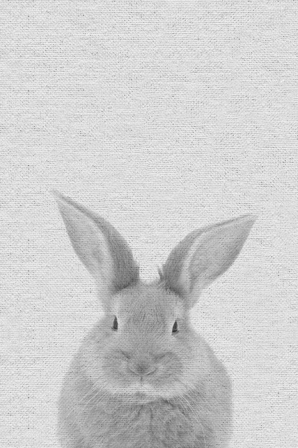 "Chubby Rabbit" Painting Print, Wrapped Canvas, 8"x12" - Farmhouse ...