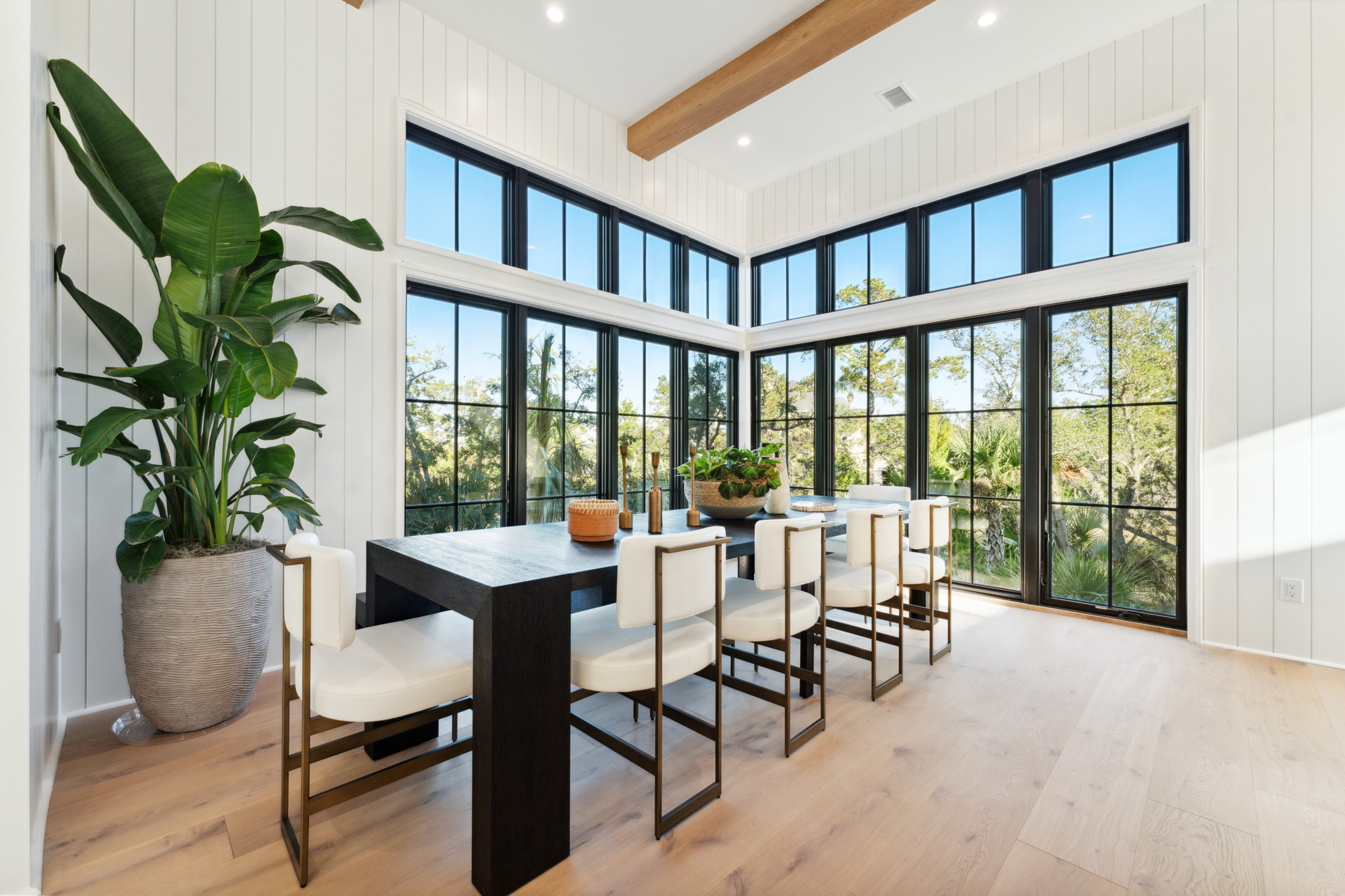 10 Large, Dramatic Houseplants to Beautify Your Home