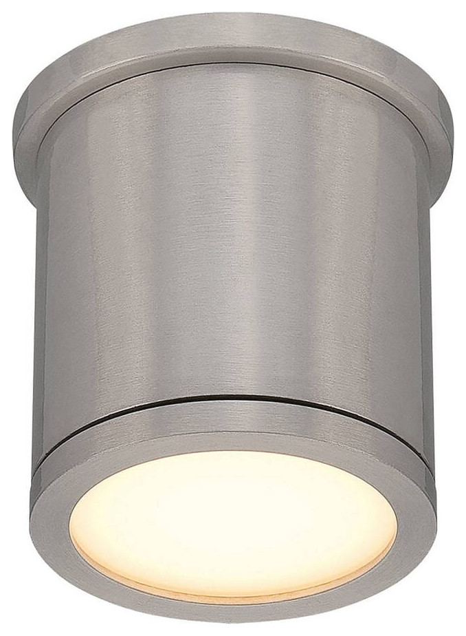 WAC Lighting 120V Tube 5" Indoor/Outdoor LED Flush Mount in Brushed ...