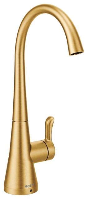 Moen Sip Transitional Brushed Gold One-Handle Beverage Faucet - Kitchen ...