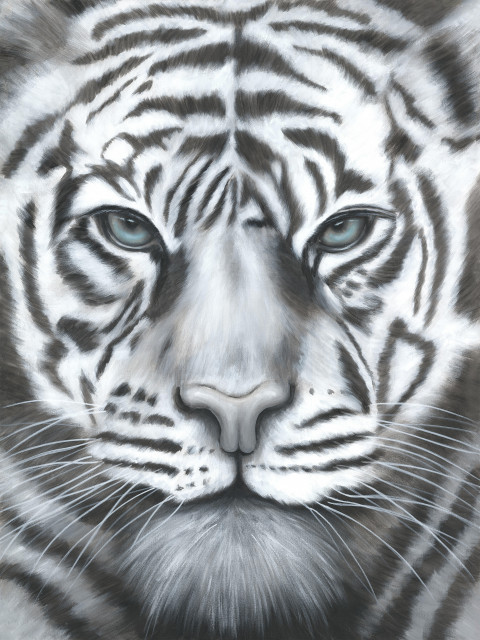 Silver Eyes Artwork, 36x48 - Contemporary - Prints And Posters - by ...