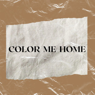 COLOR ME HOME DESIGNS - Project Photos & Reviews - Atlanta, GA US | Houzz