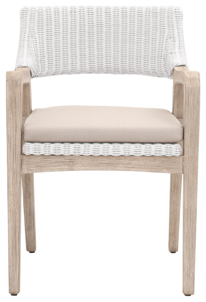 Lucia Arm Chair - Tropical - Dining Chairs - by Essentials for Living ...