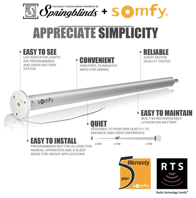 Springblinds SOMFY Motorized Light Filtering Roller Shade, 66"x72 ...