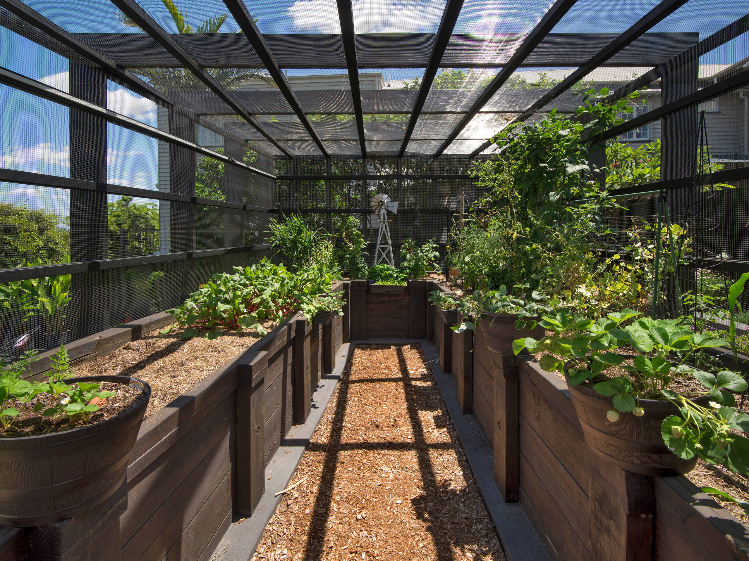 Efficient Interior Greenhouse Layout Ideas