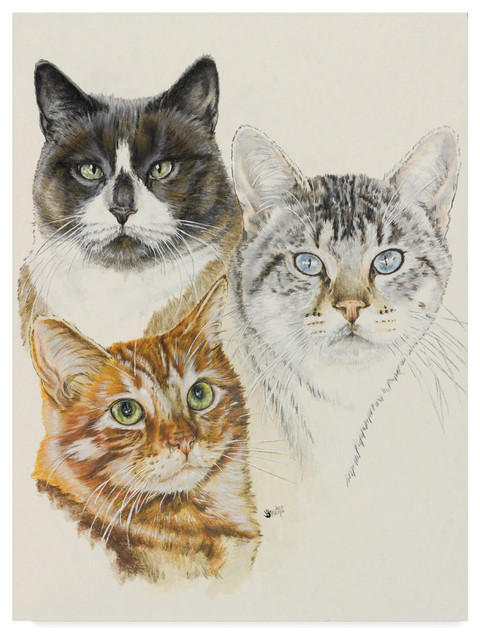 "American Shorthair" by Barbara Keith, Canvas Art, 32"x24 ...