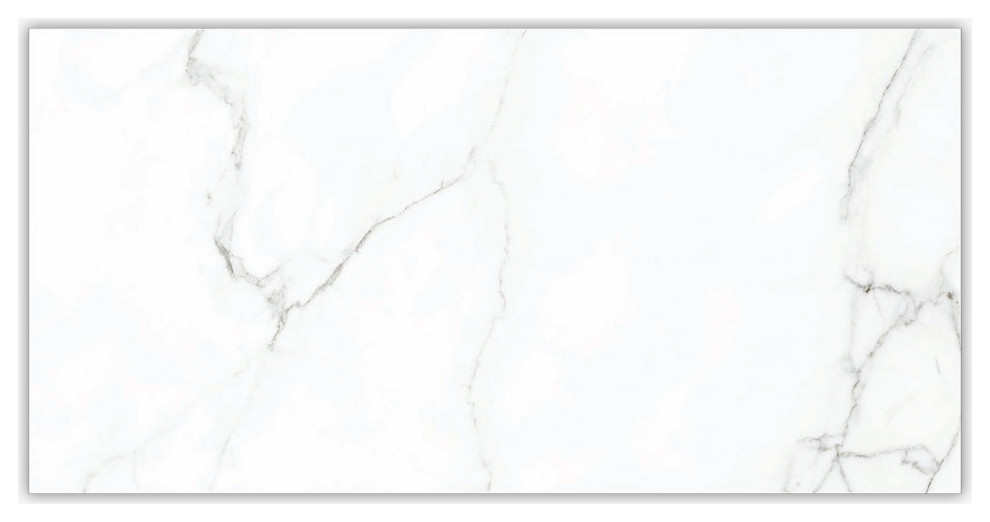 Rapsodia Bellezza Bianca Polished 24x48 Porcelain Tile, 24x48 ...