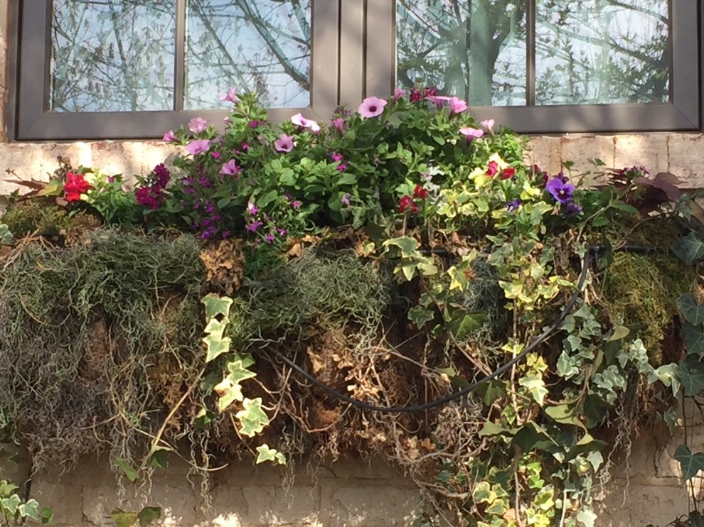 Simple Pleasures: Savor the First Spring Day in the Garden