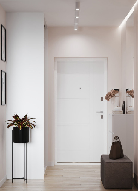 Simple design ideas for the narrow hallway - Contemporary - Entry ...