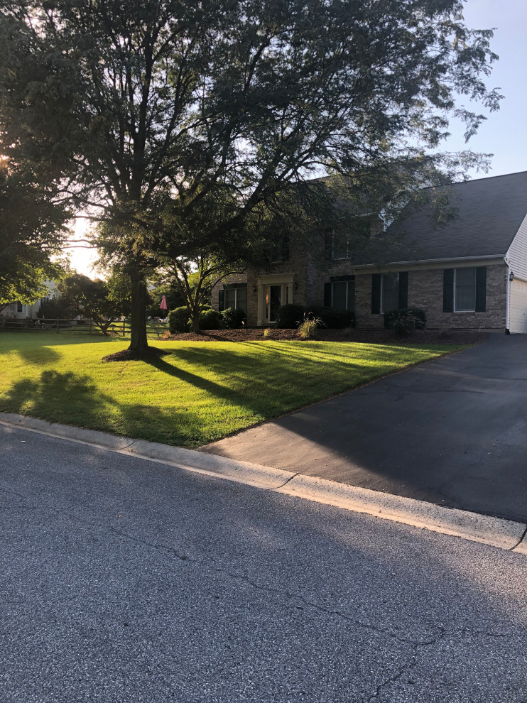 Front yard disaster