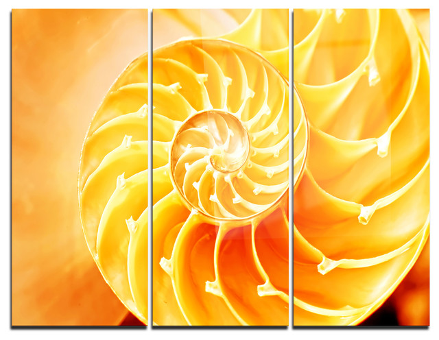 "Yellow Nautilus Shell" Metal Wall Art, 3 Panels, 36"x28", 36"x28" 3 ...