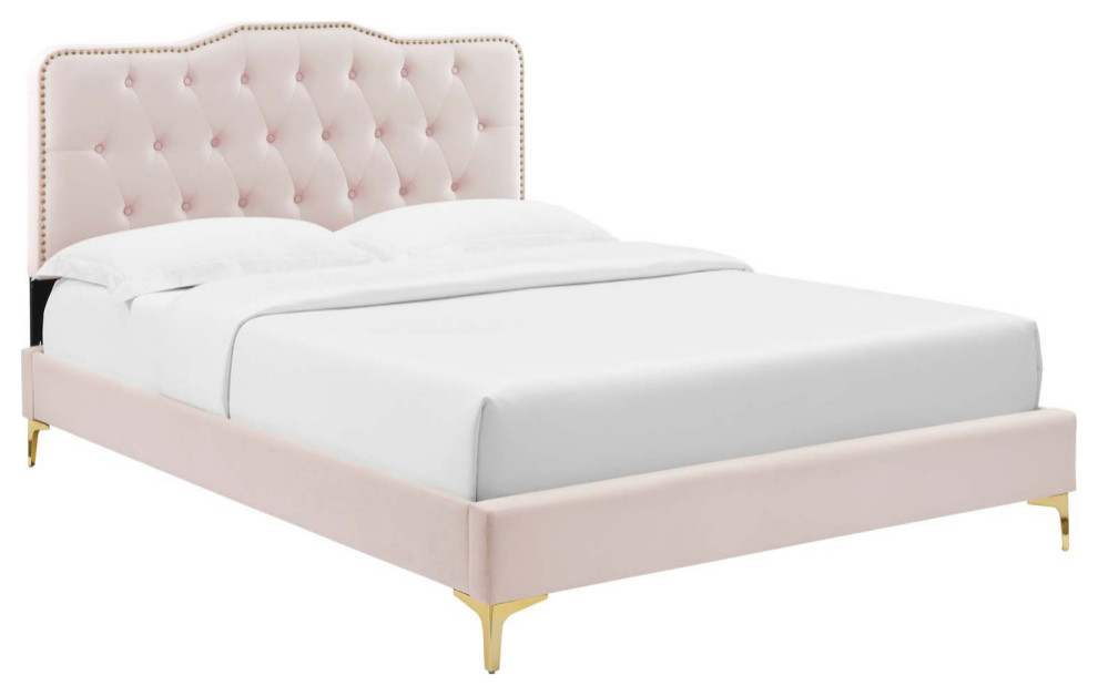 Amber Performance Velvet Queen Platform Bed, Pink - Midcentury ...