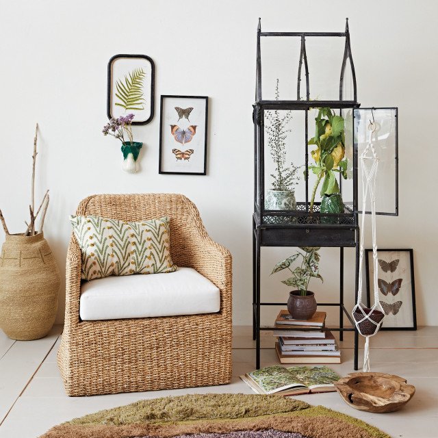 Metal and Acrylic Display Case and Terrarium With Legs for Storage ...