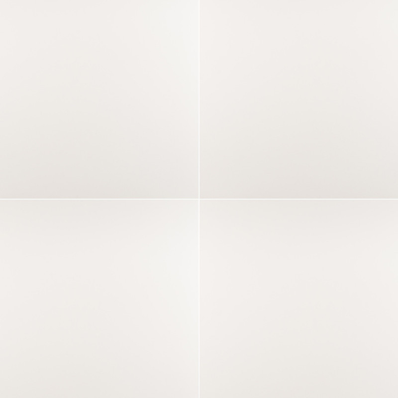White Matte 24X24 Porcelain Tile - Traditional - Wall And Floor Tile ...