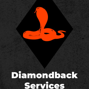 DIAMONDBACK SERVICES - Project Photos & Reviews -, US | Houzz