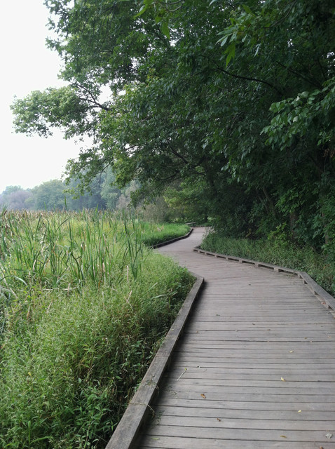 Boardwalks Bridge the Gap to Nature