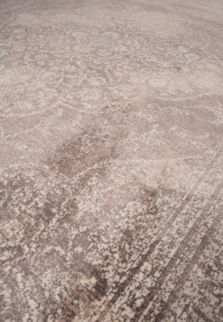 Vintage Light Area Rug 5'5" x 8' | Dutchbone Rugged - Contemporary ...