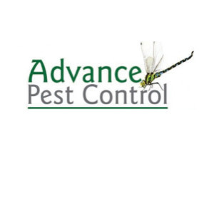 ADVANCE PEST CONTROL - Project Photos & Reviews - Wake Forest, NC US ...