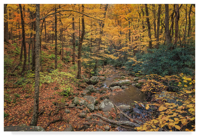 Galloimages Online 'Roaring Fork Stream Pond' Canvas Art, 19"x12 ...