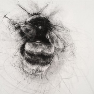 APRIL COPPINI ART - Project Photos & Reviews - Portland, OR US | Houzz