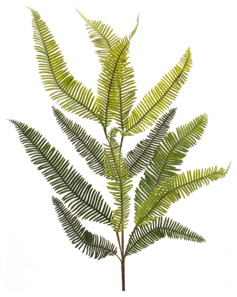 Fern Spray, 6-Piece Set - Traditional - Artificial Plants And Trees ...