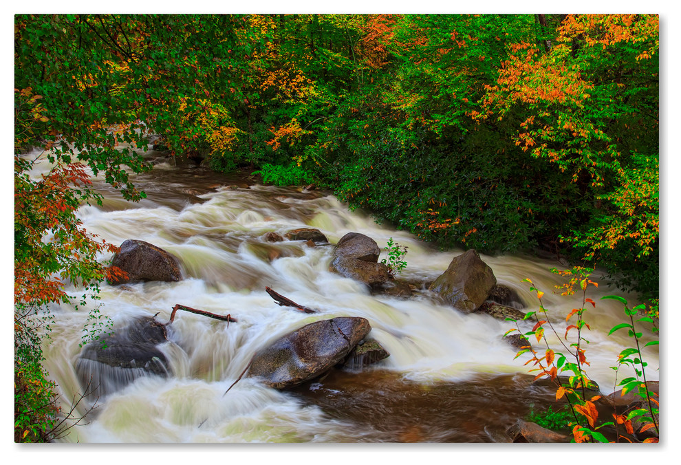 Bob Rouse 'Pigeon River' Canvas Art, 30"x47" - Rustic - Prints And ...