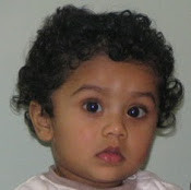 NONE - Project Photos & Reviews - Toronto, ON CA | Houzz