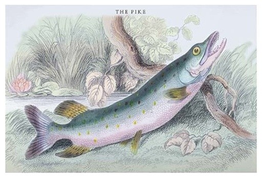 The Pike, 24" x 36" - Prints And Posters - by Buyenlarge Inc. | Houzz