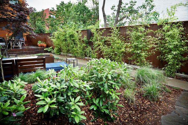 A Front Yard Regrows in Brooklyn
