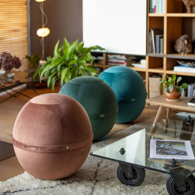 Bloon Velvet French Sitting Ball | XL - Contemporary - Office Chairs ...