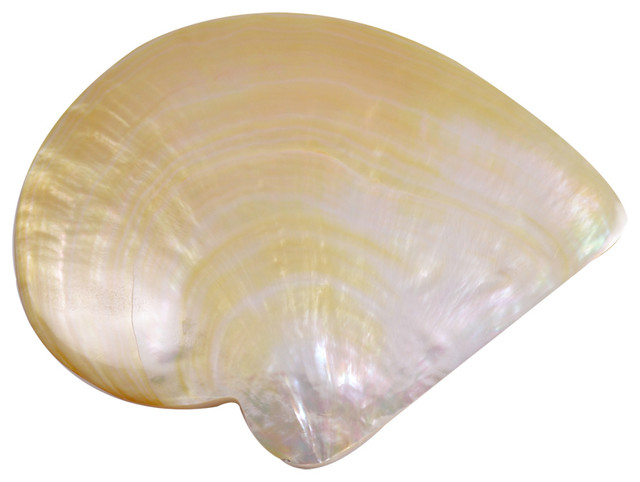 Natural Shell Gold Lip Plate 5-6" - Beach Style - Decorative Objects ...