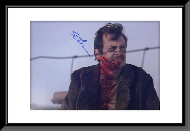 Fargo Steve Buscemi signed movie photo, 11x14 inches - Contemporary ...