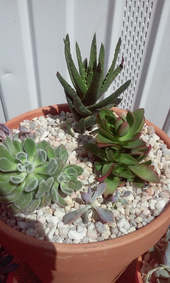 Hello warm weather, hello beautiful