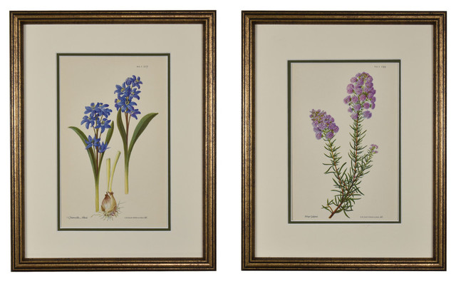 Original Vintage 1950s English Botanical Prints, Set of 2 - Traditional ...
