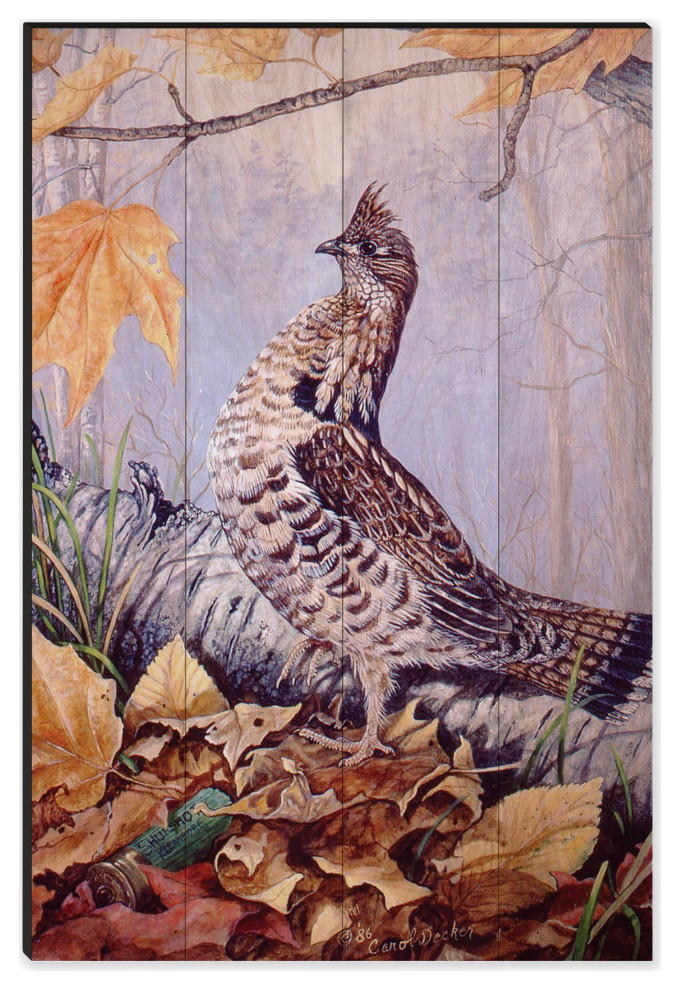 Wall Art, Ruffed Grouse, 16"x24" - Rustic - Prints And Posters - by ...