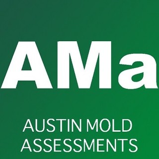 AUSTIN MOLD ASSESSMENTS - Project Photos & Reviews - Austin, TX US | Houzz