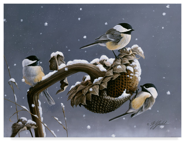 Wilhelm Goebel 'Winter Trio Sunflower' Canvas Art, 32"x24" - Farmhouse ...