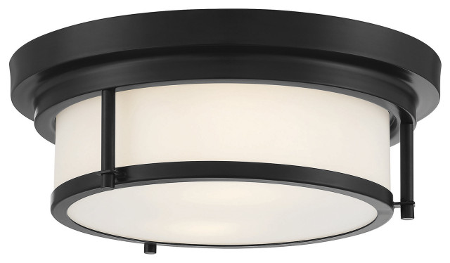 2-Light Ceiling Light, Matte Black - Transitional - Flush-mount Ceiling ...