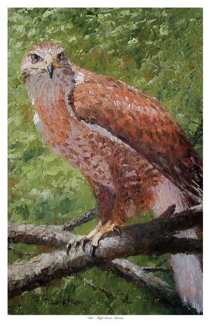 Paul Leighton "Gus" High Desert Museum Art Print, 30"x45 ...