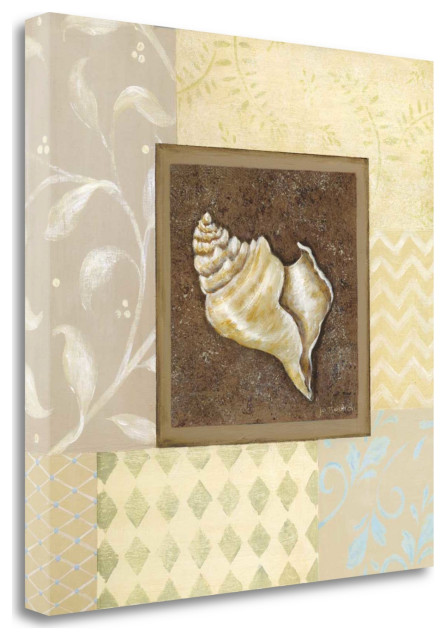 20" Conch Shell With Multi-Pattern Background Giclee Wrap Canvas Wall ...