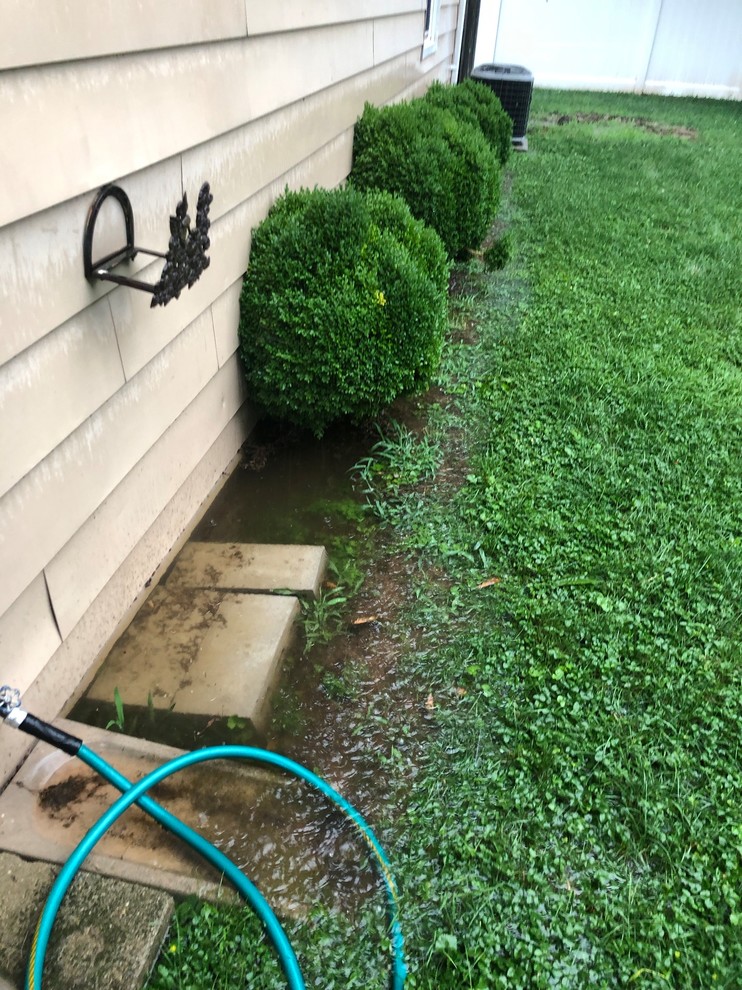 Looking for help on negative grade/water issue in yard