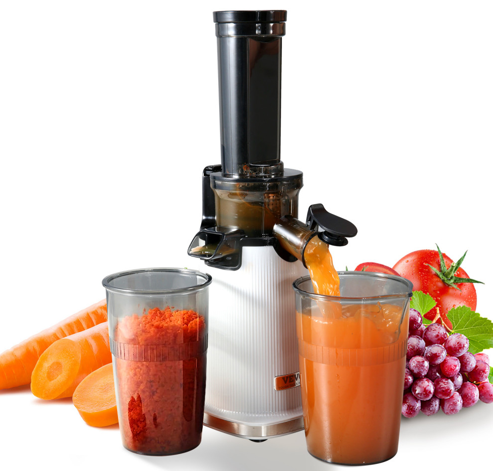 VEVOR Masticating Slow Juicer Electric Cold Press Squeezer Vegetables ...