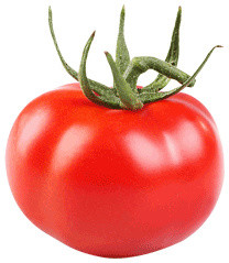 Zima (TM) Orange Grape tomatoes