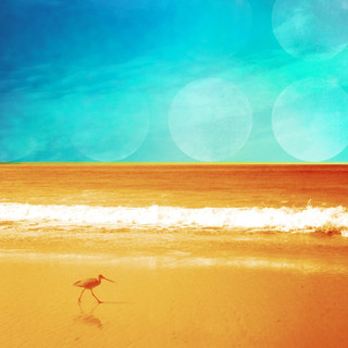 LAURA CUNNINGHAM COASTAL ART - Project Photos & Reviews - Encinitas, CA ...