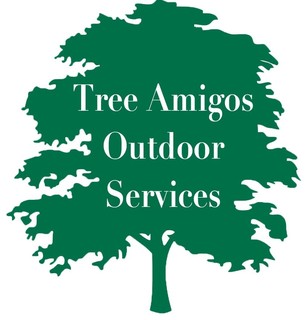 TREE AMIGOS - Project Photos & Reviews - Jacksonville, FL US | Houzz