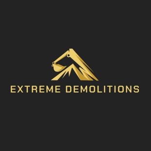 EXTREME DEMOLITION - Project Photos & Reviews - Waterloo, ON CA | Houzz