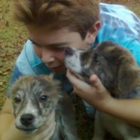 SUZANNE GAZZILLO - Project Photos & Reviews - Longport, NJ US | Houzz