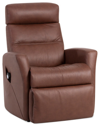 IMG Divani Large Dual Motor Multifunction Lift Chair, Trend Cognac ...