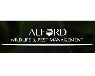 ALFORD WILDLIFE AND PEST MANAGEMENT, LLC - Project Photos & Reviews ...